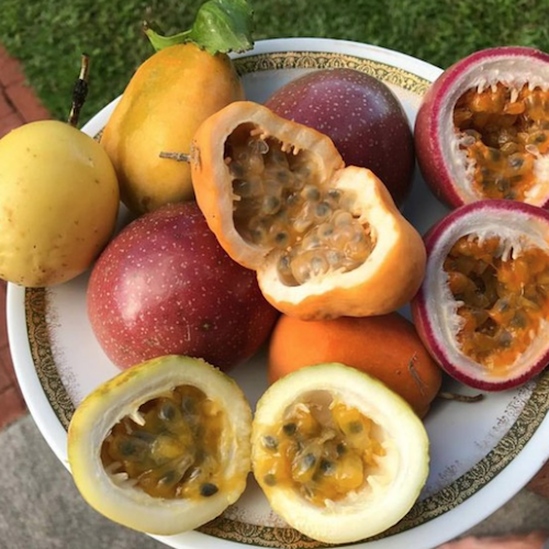 Hawaii Grown Fruit of the Month - Lilikoi » Conscious Maui