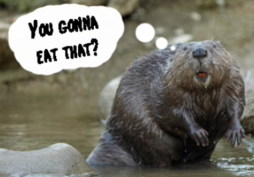 The Vanilla Bee and Vanilla in Maui & Hawaii » Conscious Maui