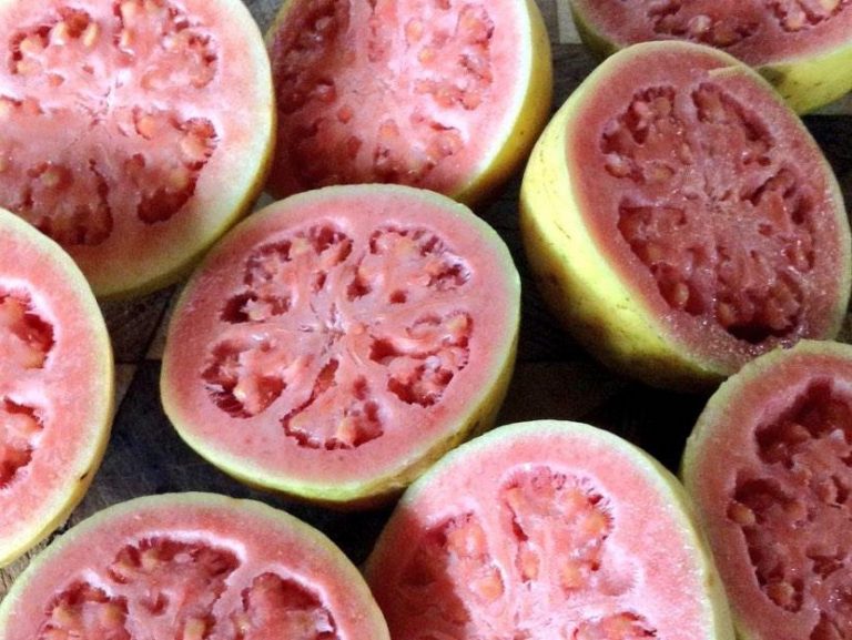 Hawaii Grown Fruit of the Month - Guava- Kuawa & Waiawi » Conscious Maui