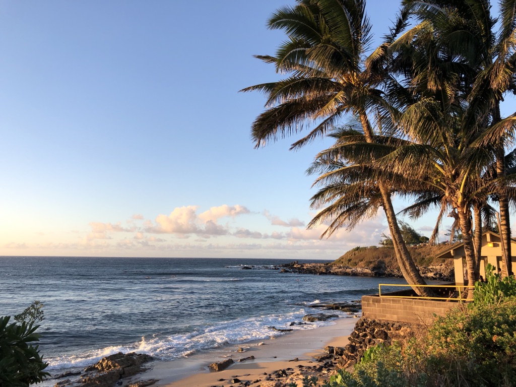 Ho'okipa Beach Park- North Shore Maui » Conscious Maui